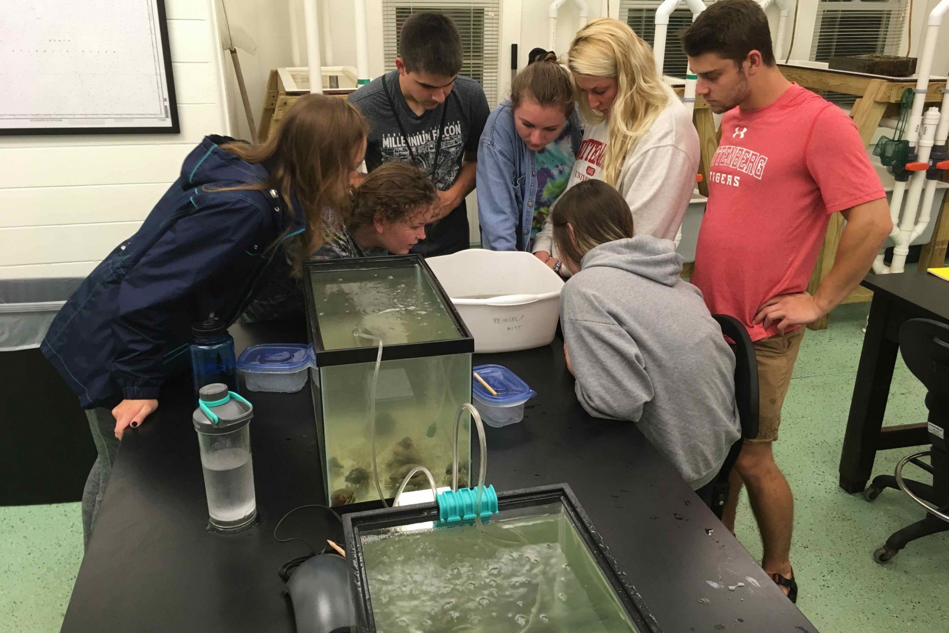 Beyond the Classroom | Wittenberg University