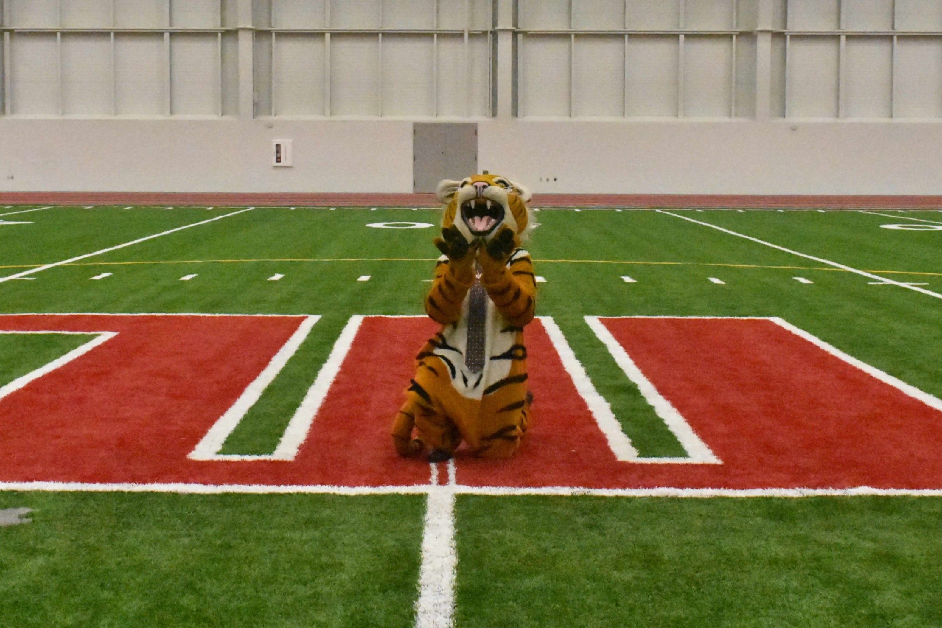 Tigers United | Wittenberg University