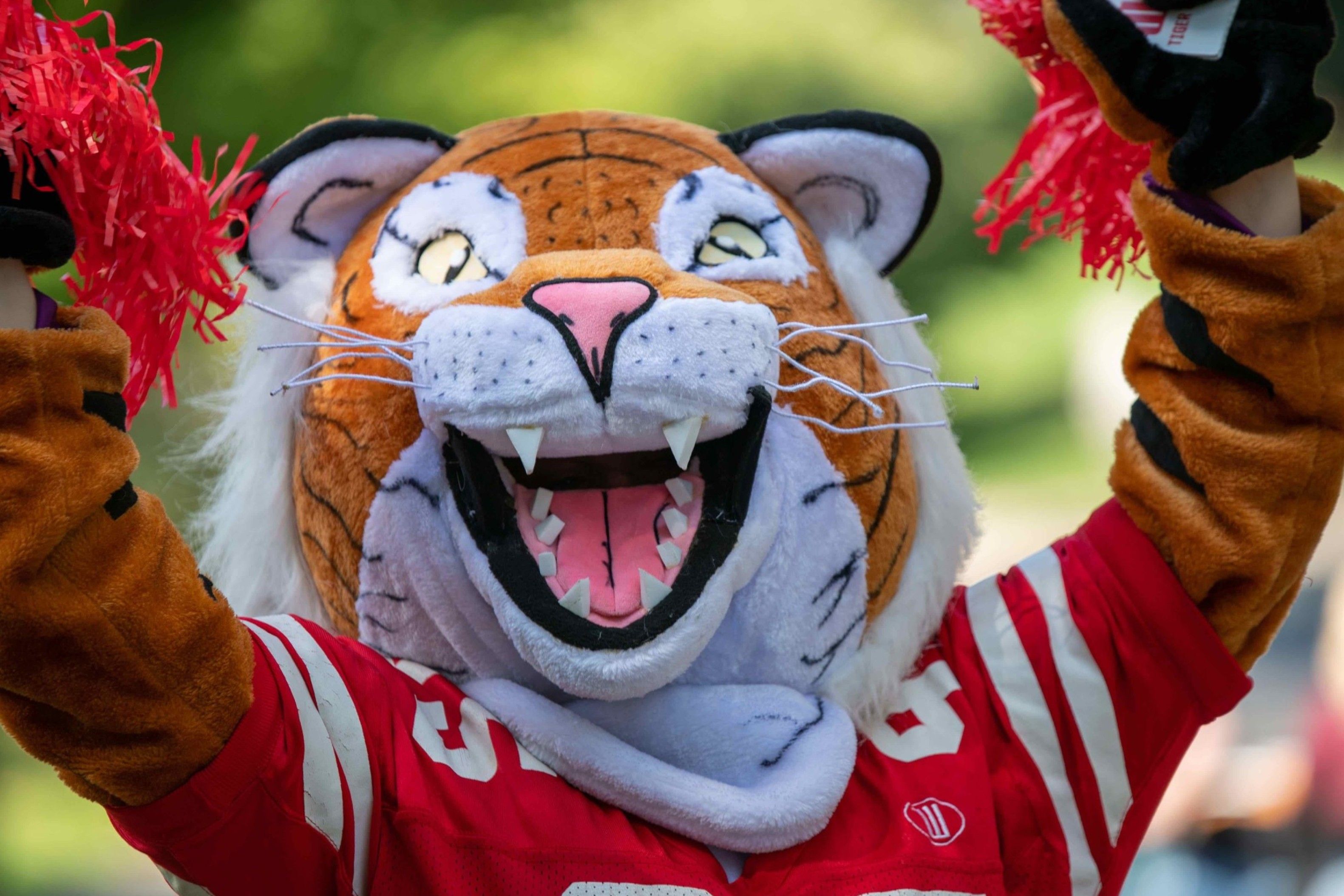 Let the Celebration Begin | Wittenberg University